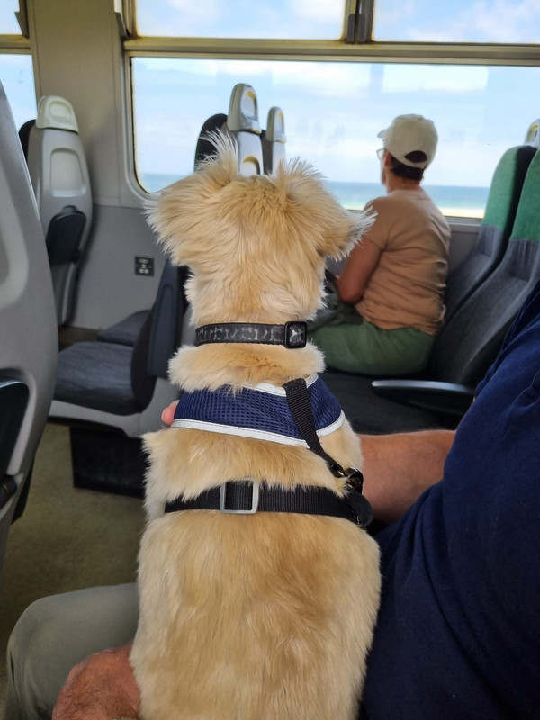 IMG 20230606 WA0005 — Postimages