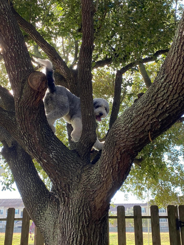 BE70 E491 280 C 4387 88 DC 92 B71 E4283 FE — Postimages