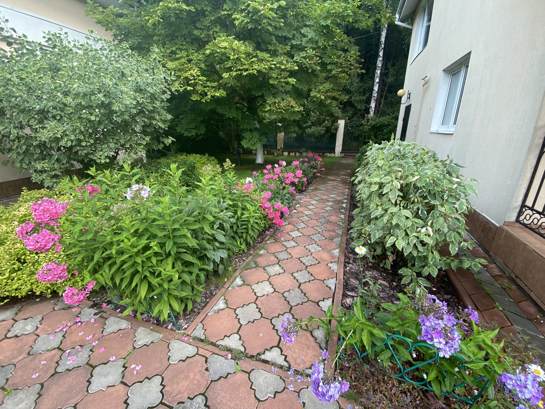 IMG 3472 — Postimages