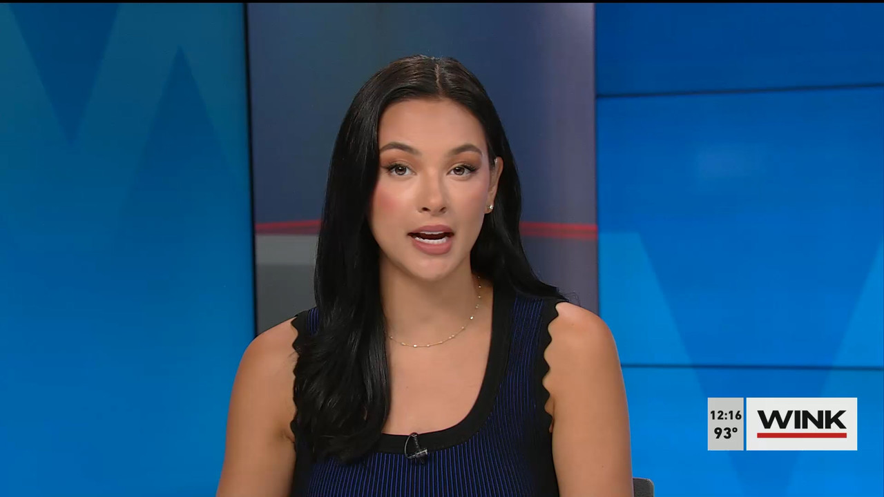 07 11 17 00 00 The WINK Noon News Midday news update ts snapshot 23 21 ...