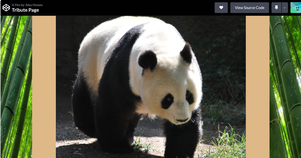 panda tribute — Postimages