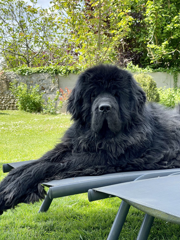 IMG 2109 — Postimages