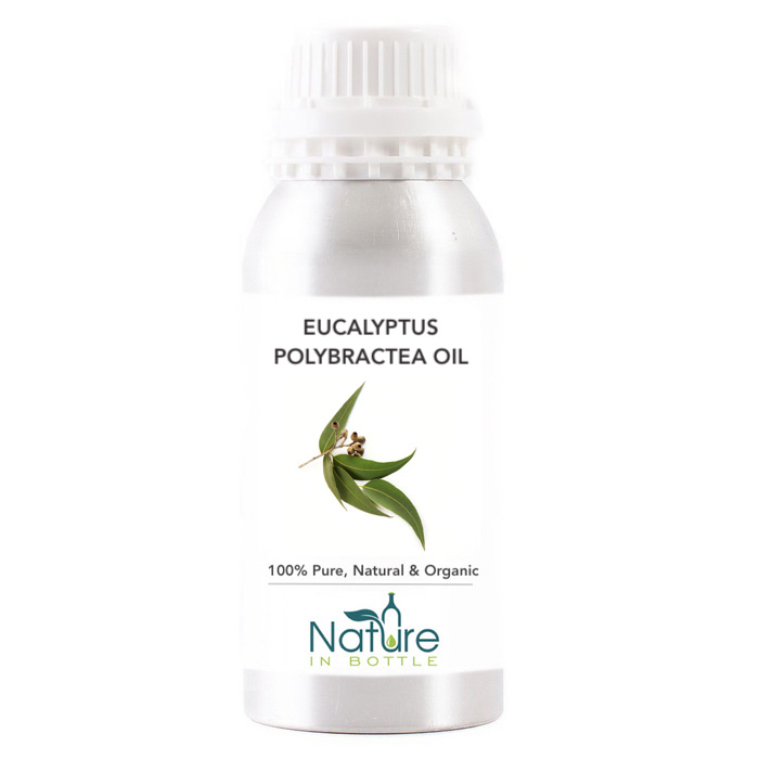 Eucalyptus Polybractea Blue Leaved Essential Oil Organic