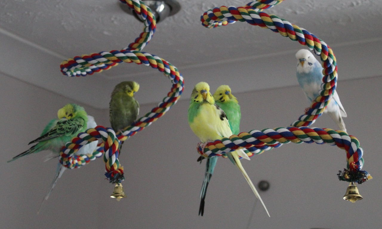 20230701104707 img 0164 — Postimages