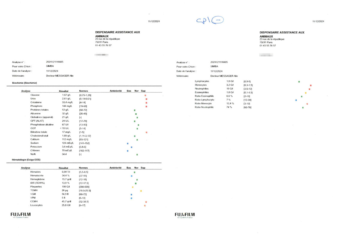 Séro Simba 11 12 2024 page1 — Postimages