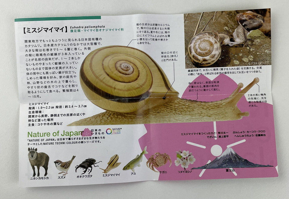 IMG 8017 — Postimages