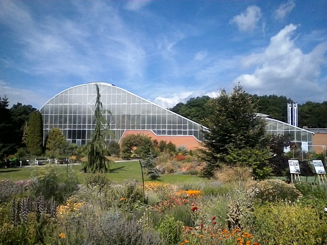 WIN 20170704 09 56 23 Pro — Postimages