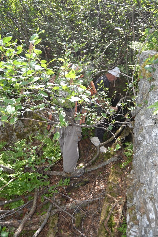 DSC 0426 — Postimages