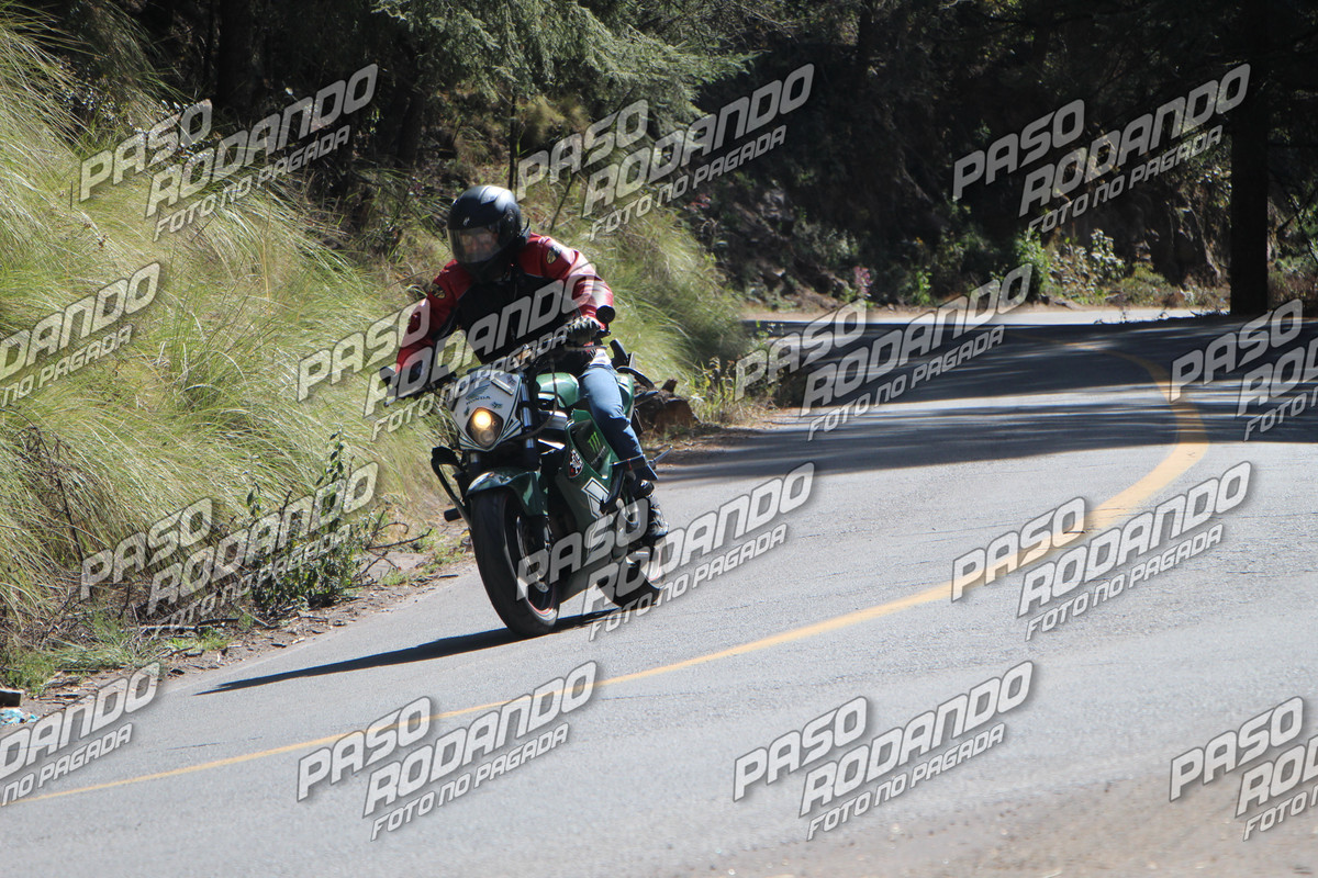 IMG 9071 wm 118151 watermarked — Postimages