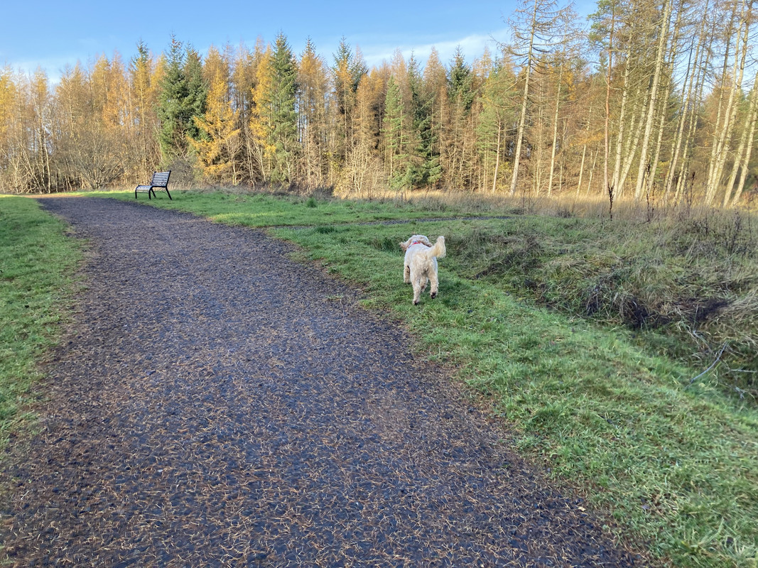 9 C18 F6 A3 0355 4 DDE B581 C581 CC5 A5 FB5 — Postimages