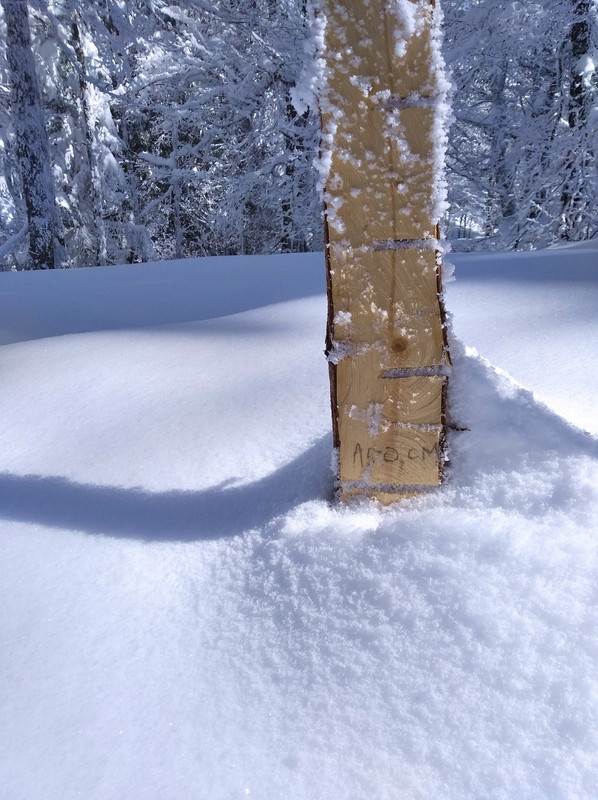 IMG 20220302 125827 — Postimages