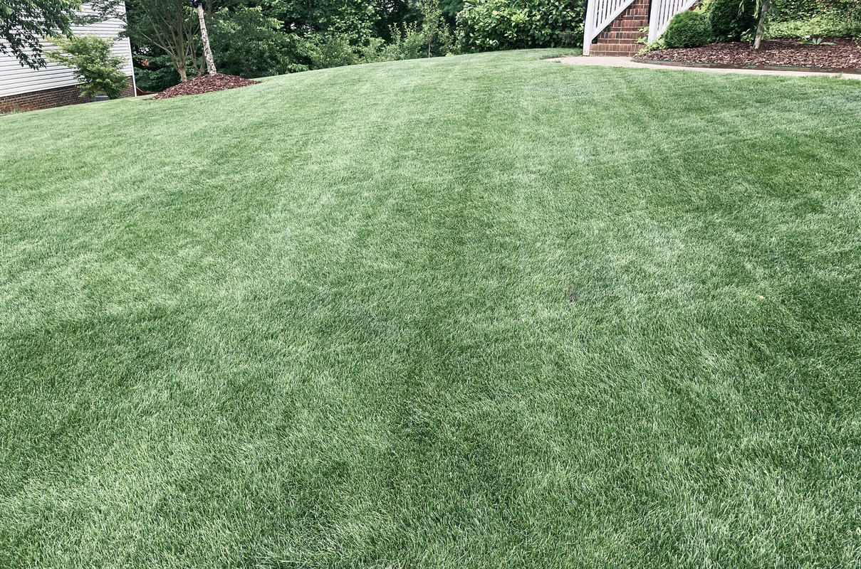 lawn 20200530 — Postimages