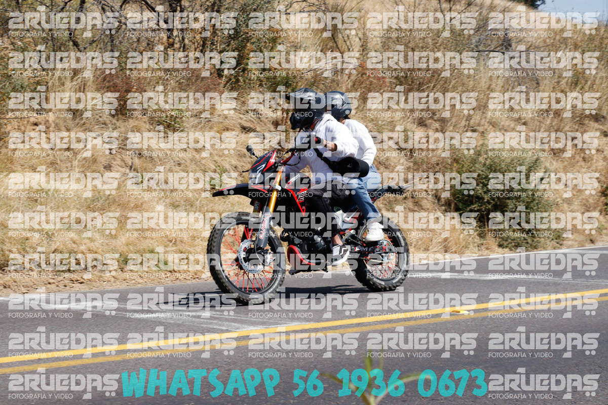 MG 0793 — Postimages