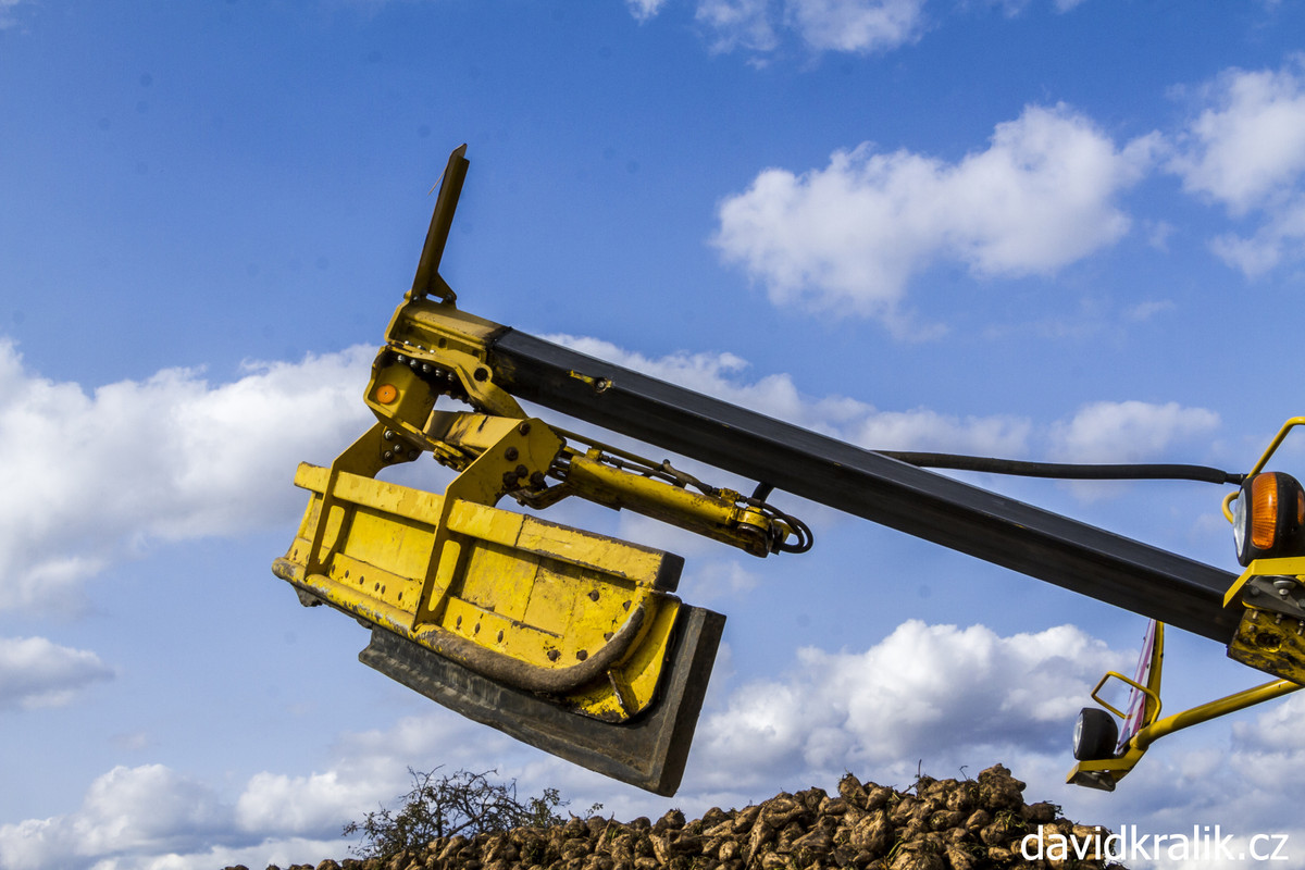 ropa maus 034 — Postimages