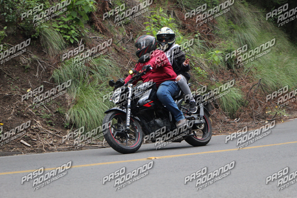 IMG 3430 wm 2424358 7 watermarked — Postimages