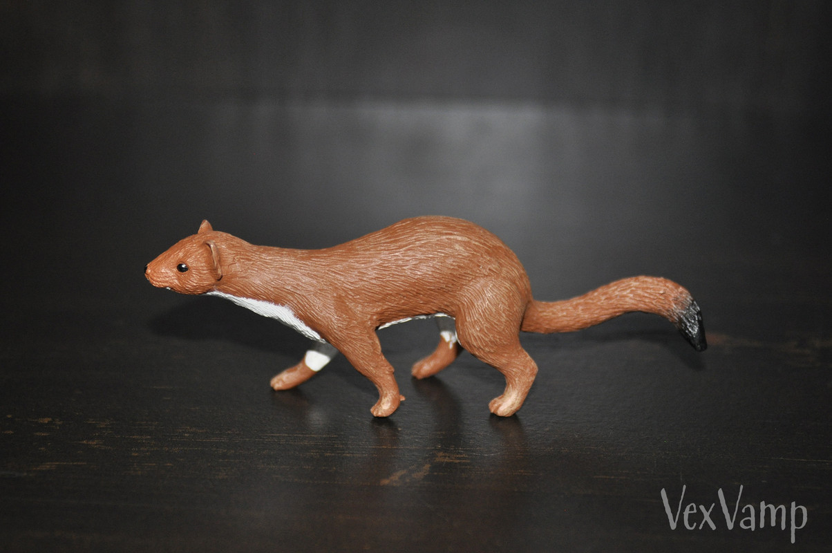 Safari Ltd 2020 Long-tailed Weasel Walkaround