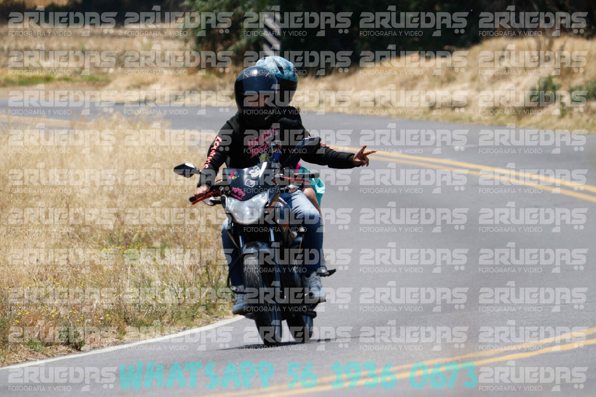 MG 1038 — Postimages