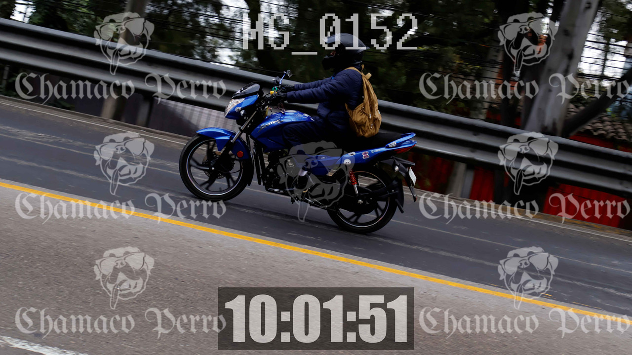 MUESTRA MG 0152 — Postimages