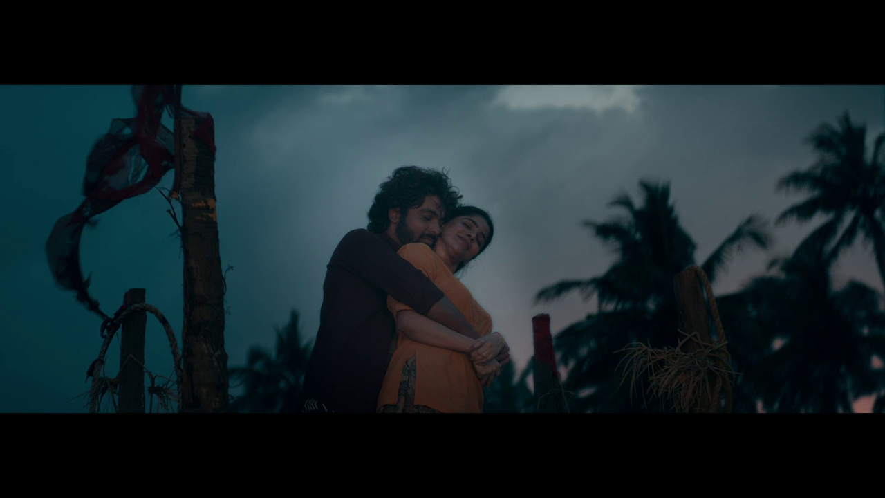 vlcsnap 2025 04 13 23h32m05s325 — Postimages