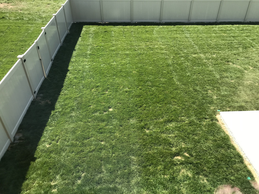 IMG 3497 — Postimages