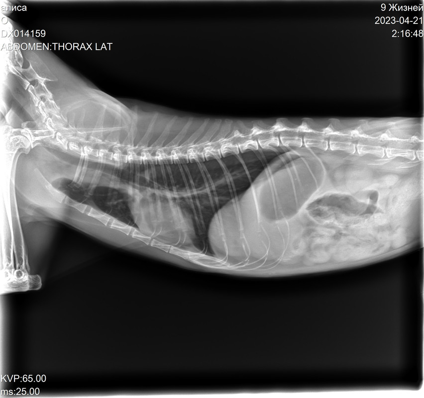 8 EC5473 F 277 E 4 C56 B1 A0 FDCFC33 C3908 — Postimages