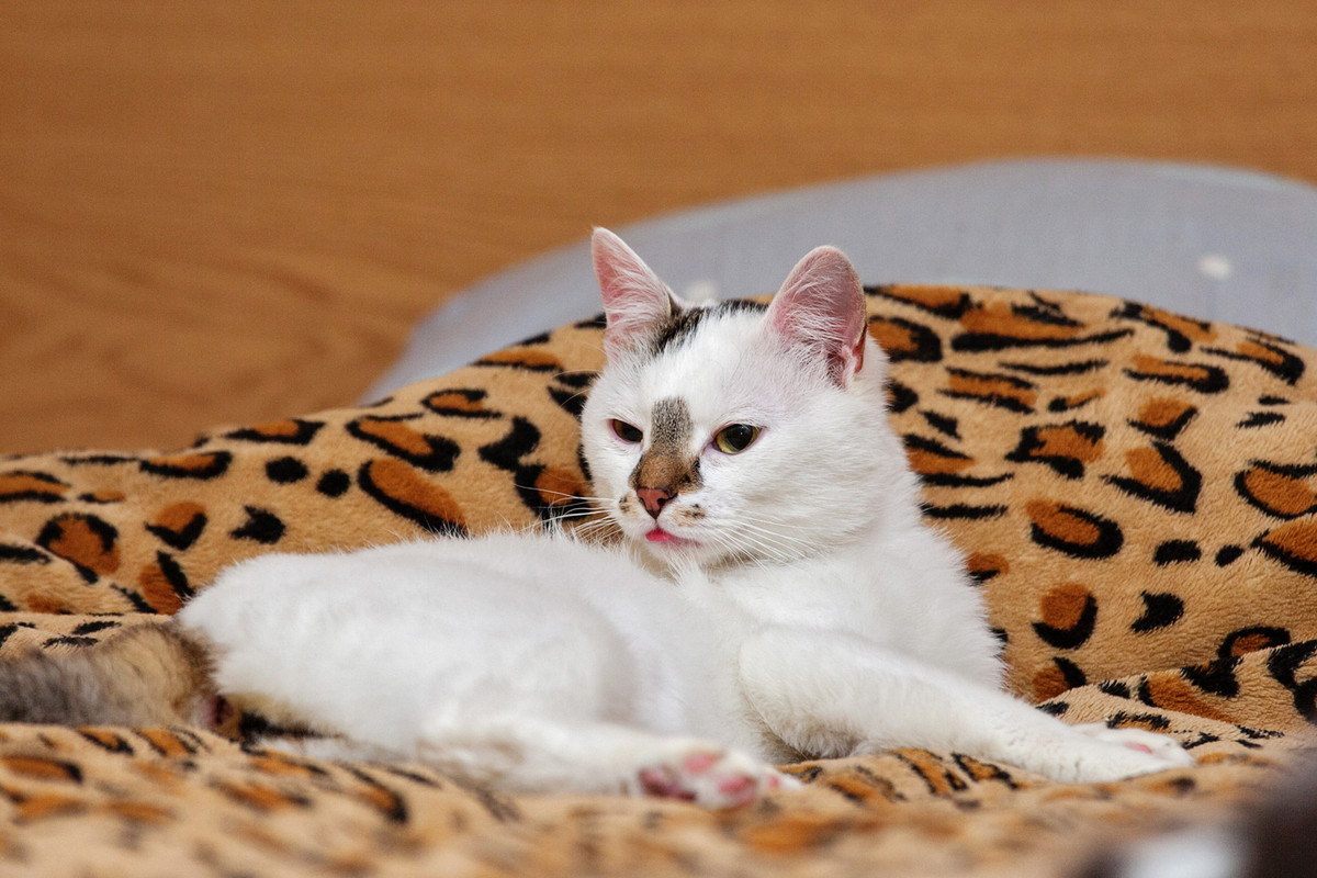 IMG 0494 — Postimages