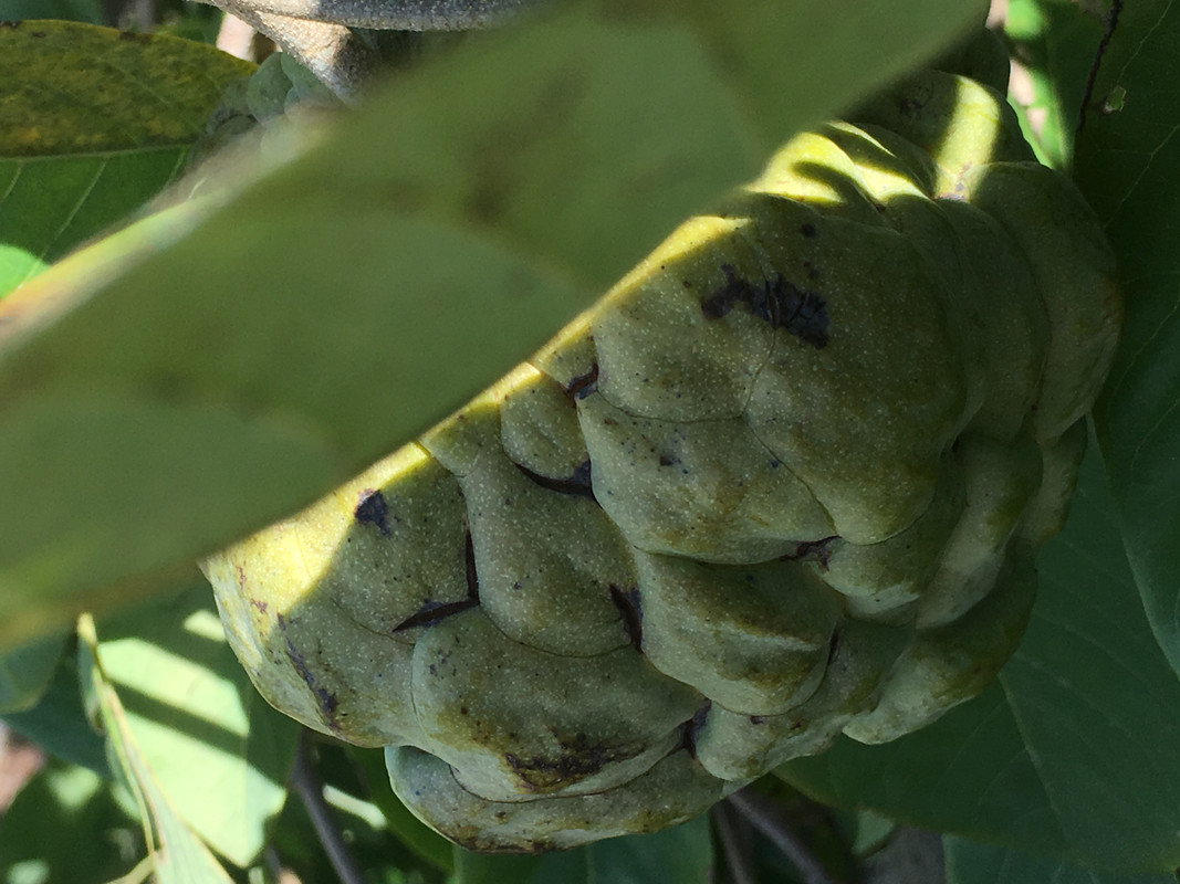 IMG 3577 — Postimages