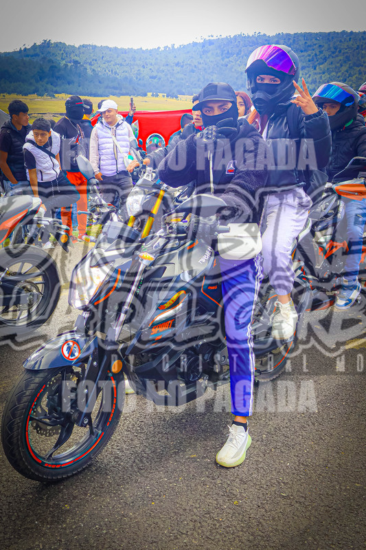 PL2 3009 — Postimages