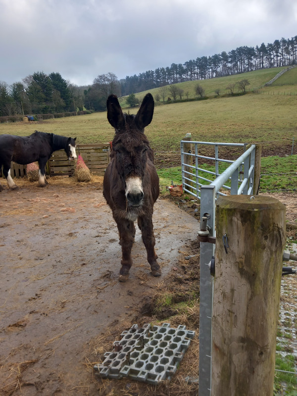 20230318 092243 — Postimages