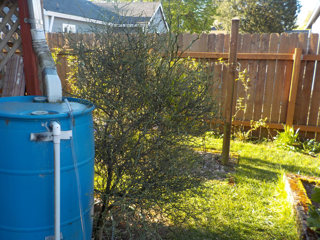 Prague Citsuma dark side 4 19 24 — Postimages