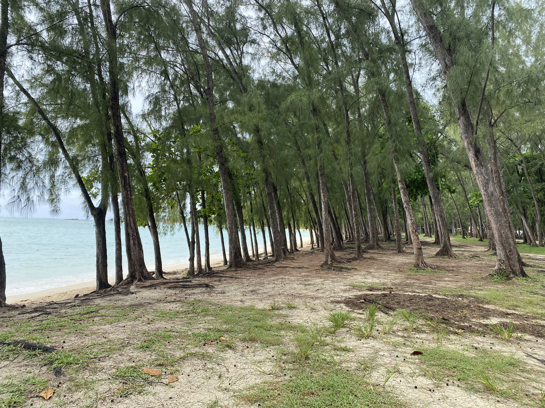 85 F5 DA4 E 2674 4 FC5 89 F1 5 D12 ED05 FAF0 — Postimages