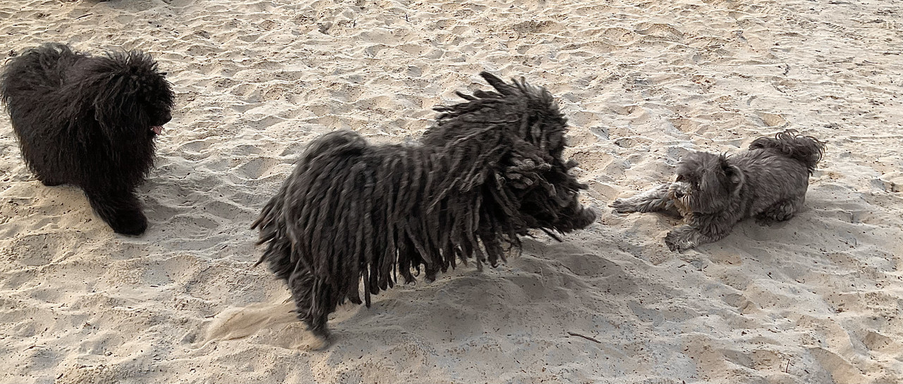 IMG 7311 — Postimages