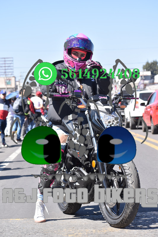 AVQ 2874 — Postimages