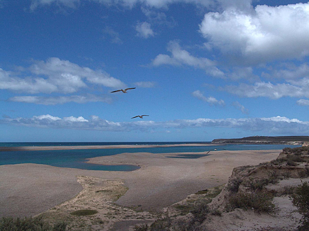 R (19) — Postimages