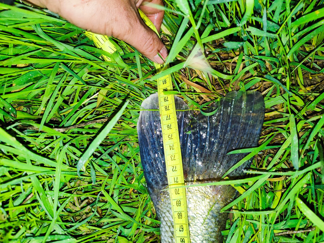 IMG 20240521 WA0054 — Postimages