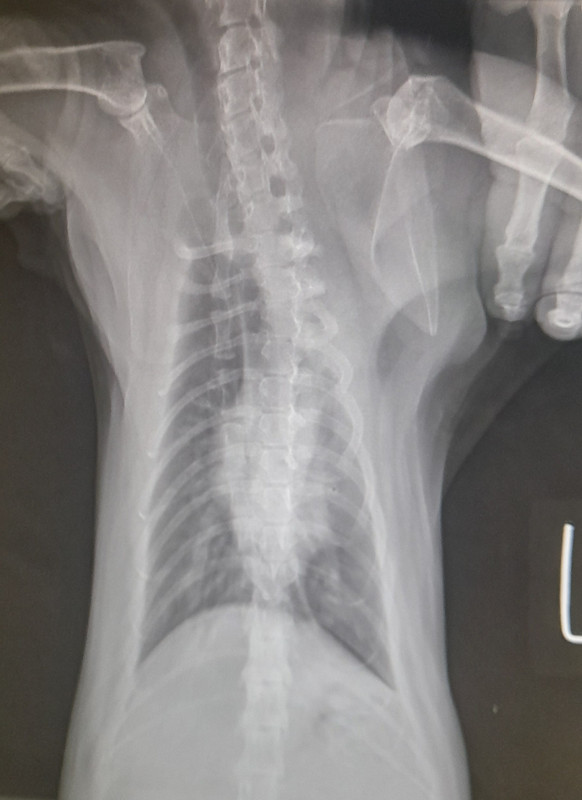 1000020267 — Postimages