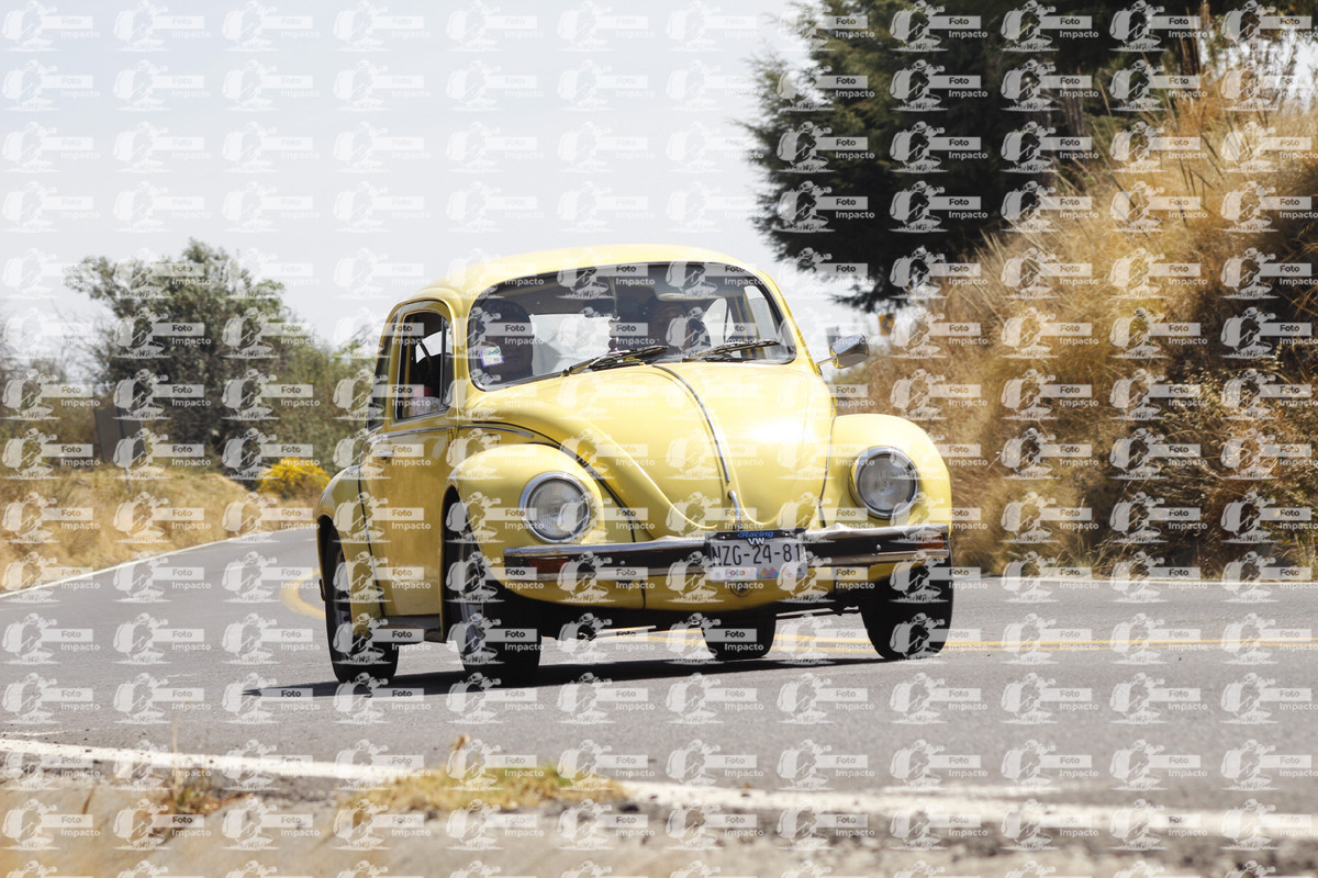 MG 0358 — Postimages