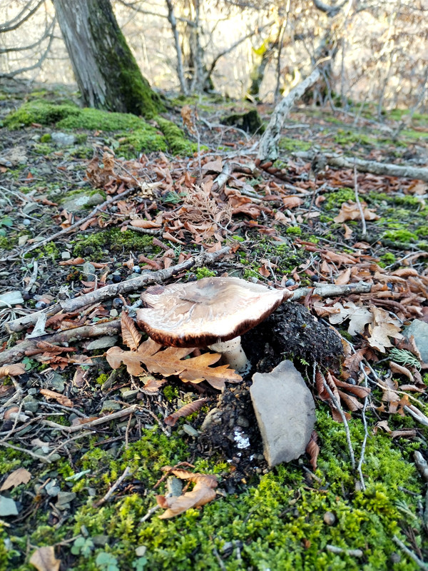 IMG 20240106 152410 edit 64217679372376 — Postimages