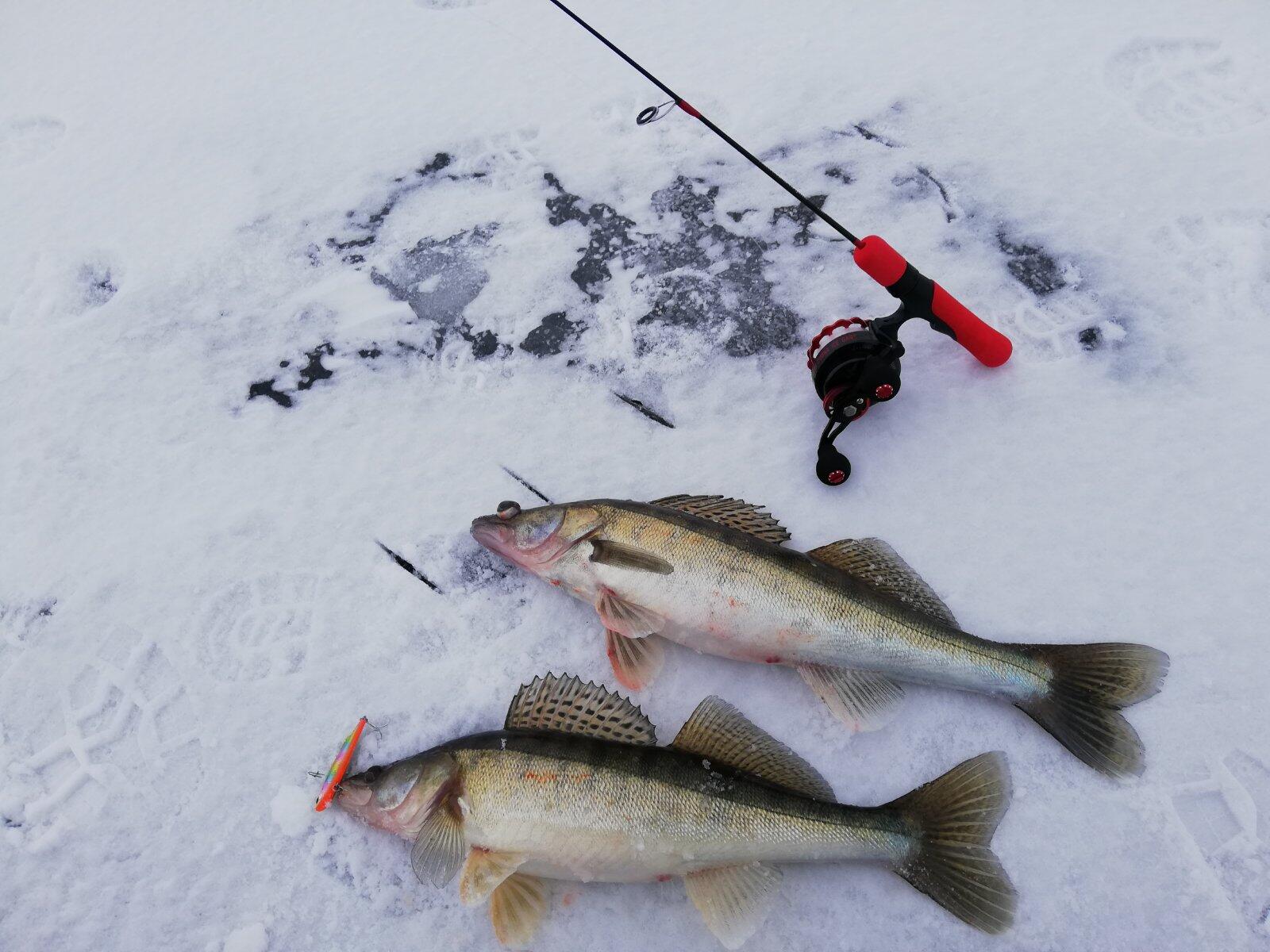 IMG 9dfa330ea0cb60ae34560c601dad9079 V — Postimages