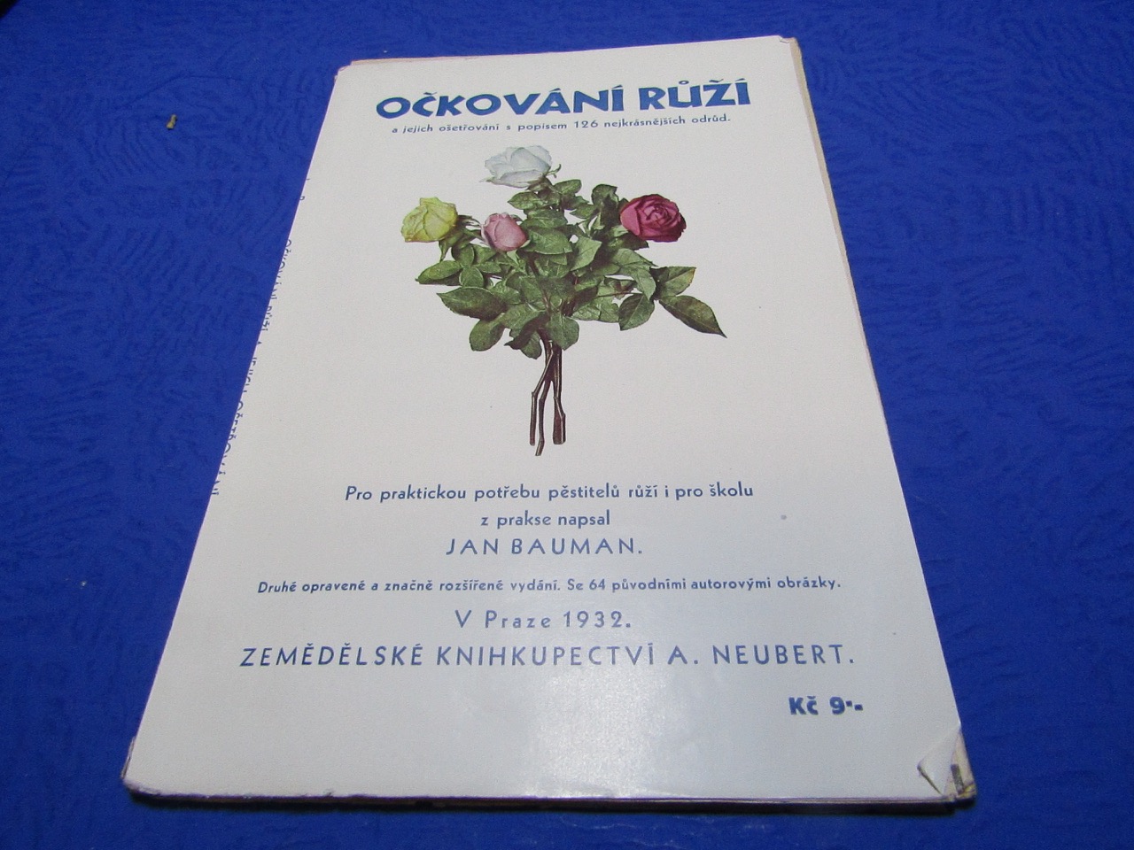 IMG 1799 — Postimages