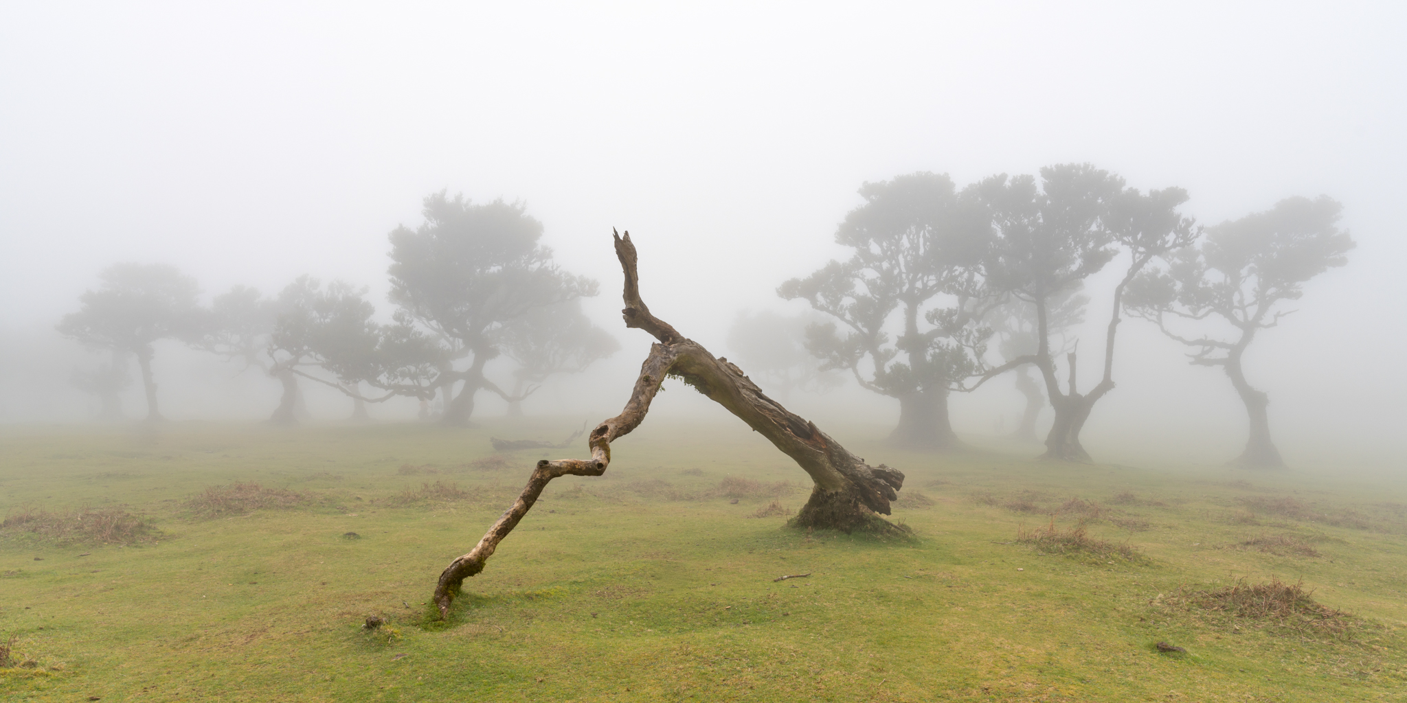 Sony Forum - Photography - FM Forums