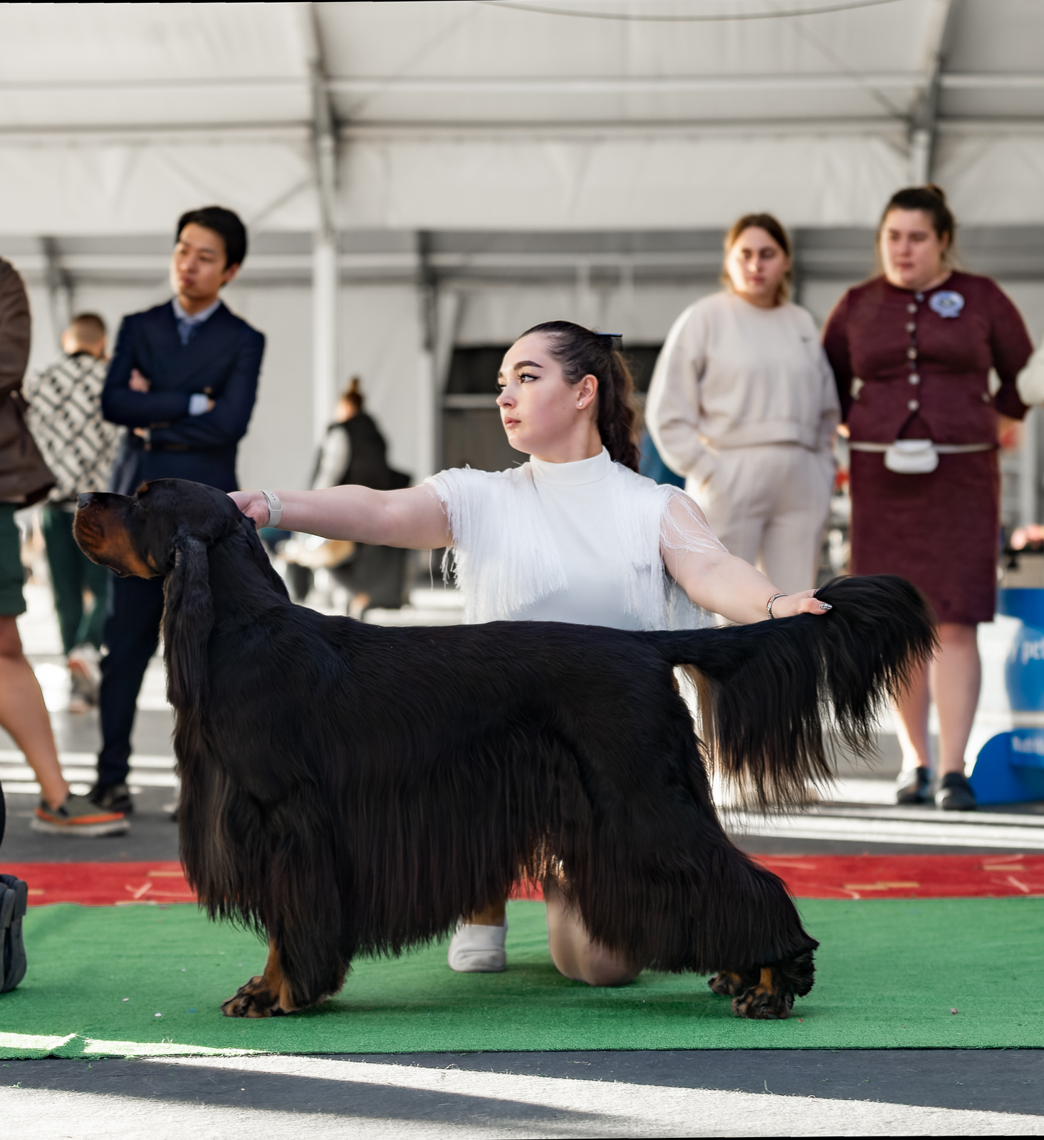 01 672 — Postimages