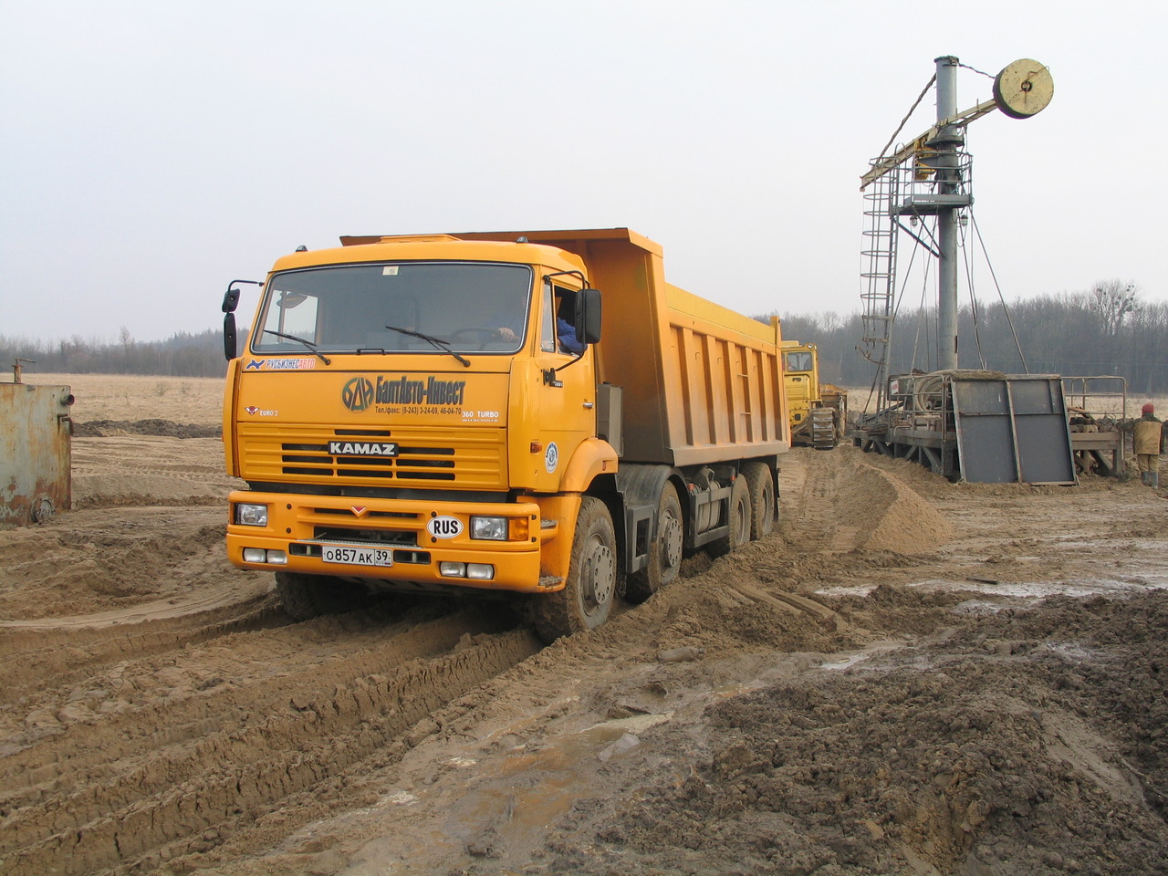 taka tree — Postimages