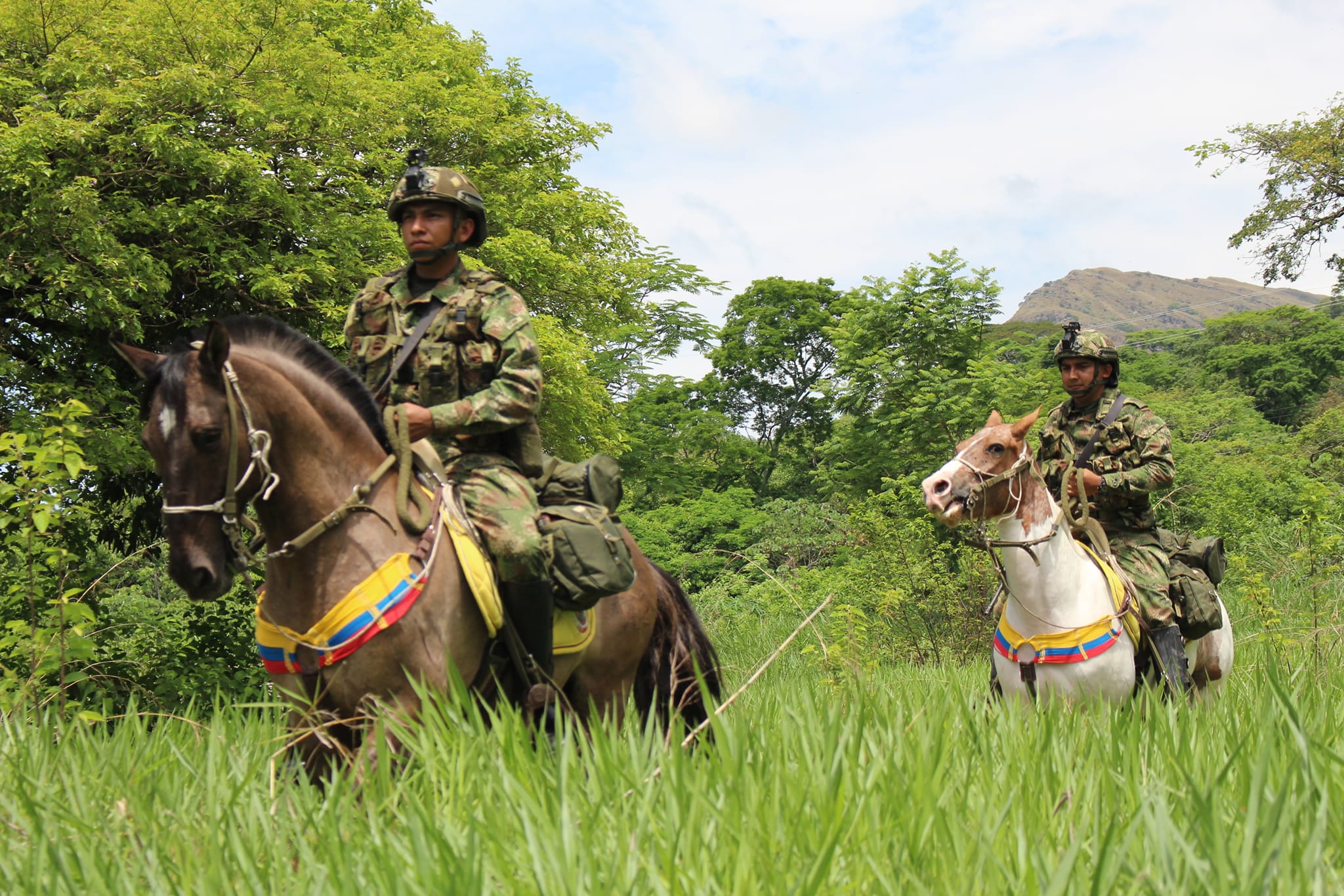 EJC CAB — Postimages