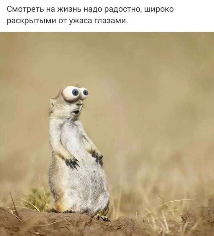 IMG 20240412 091253 — Postimages