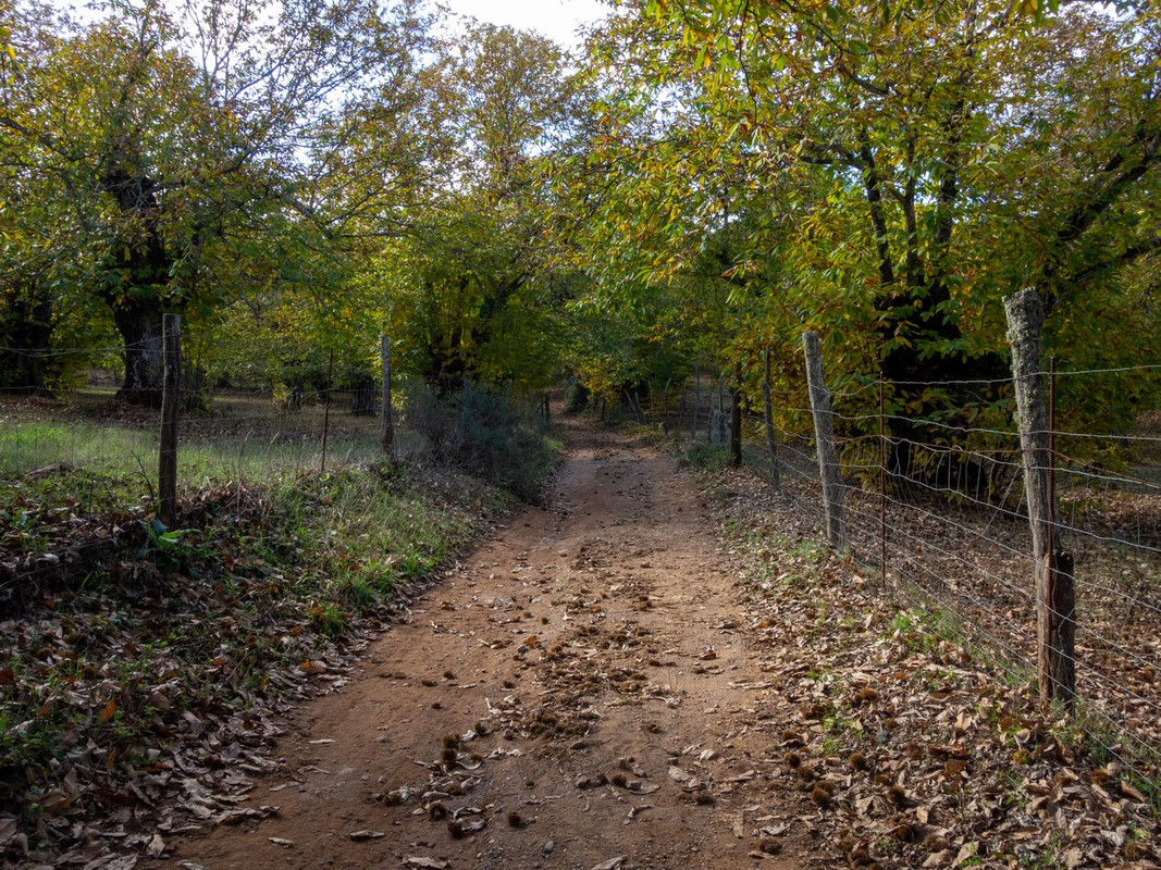 sin ti tulo 06852 — Postimages