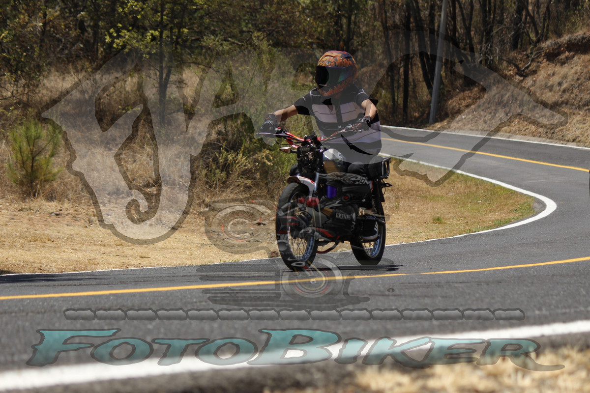 MG 0249 — Postimages