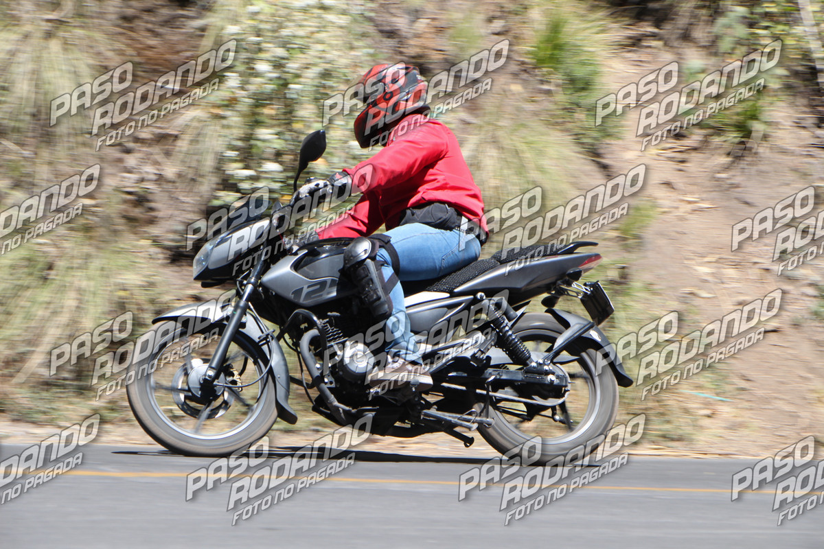 IMG 4702 wm 8888201 899999999 watermarked — Postimages