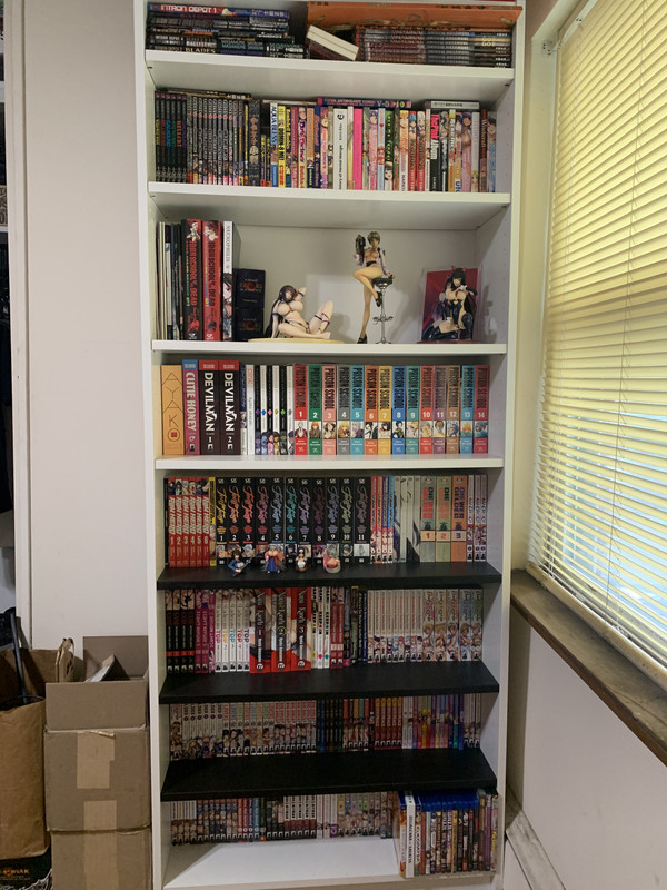 Shelves 37 — Postimages