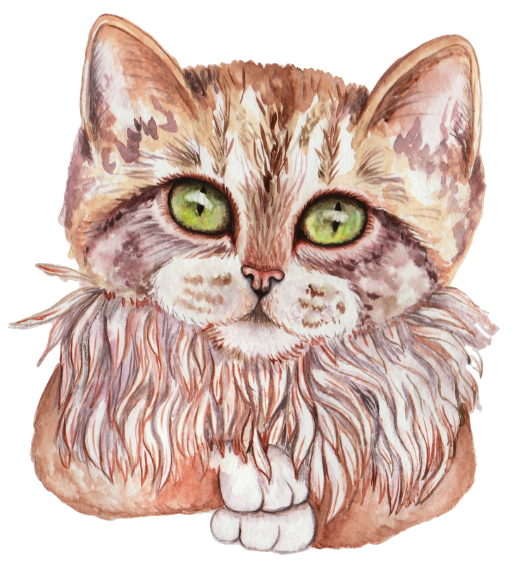 CAT2 KOPIROVAT — Postimages